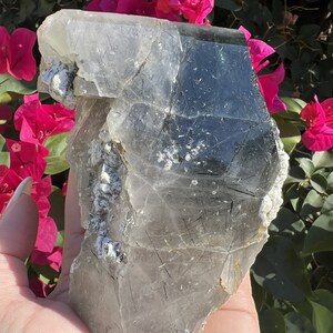 RARE Stunning Blue Riebeckite in Quartz Statement Specimen From ...