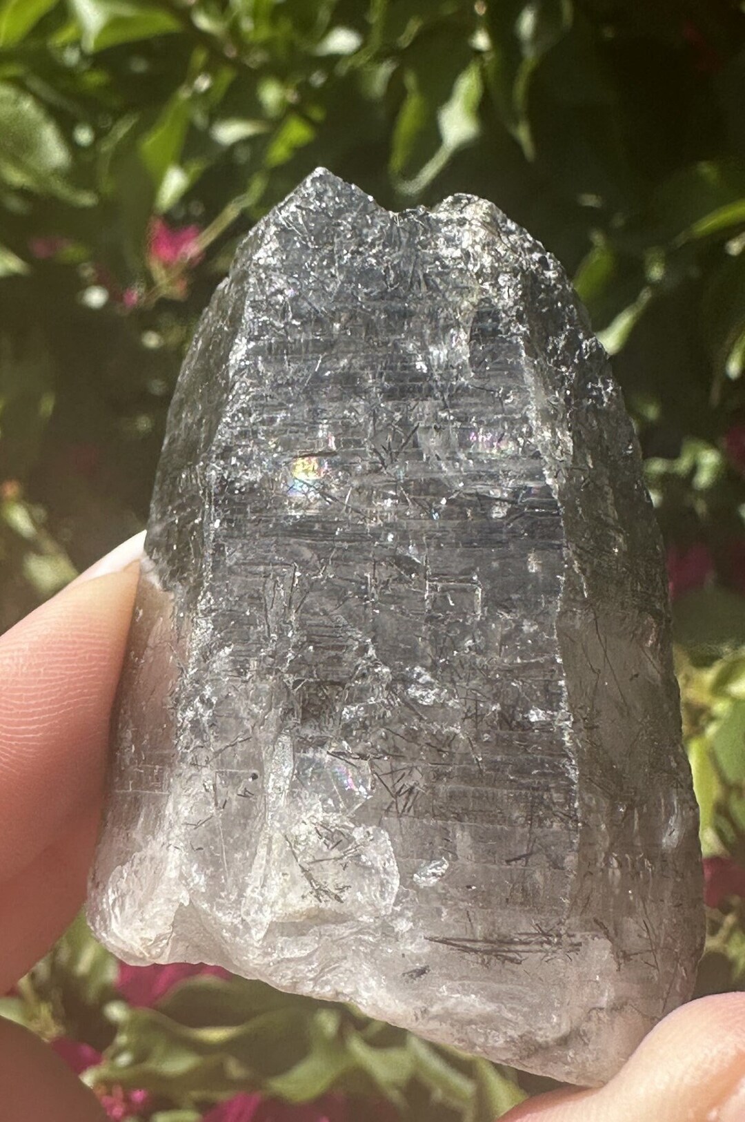 RARE Gorgeous Black Riebeckite Included Quartz Double Point With ...