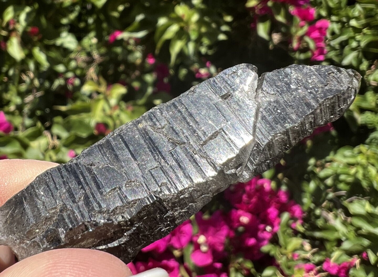 RARE Stunning Black Riebeckite Included Quartz From Pakistan, 33 Grams ...