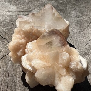 Rare Phantom Apophyllite With Stilbite Cluster: Chocolate, Red, and ...