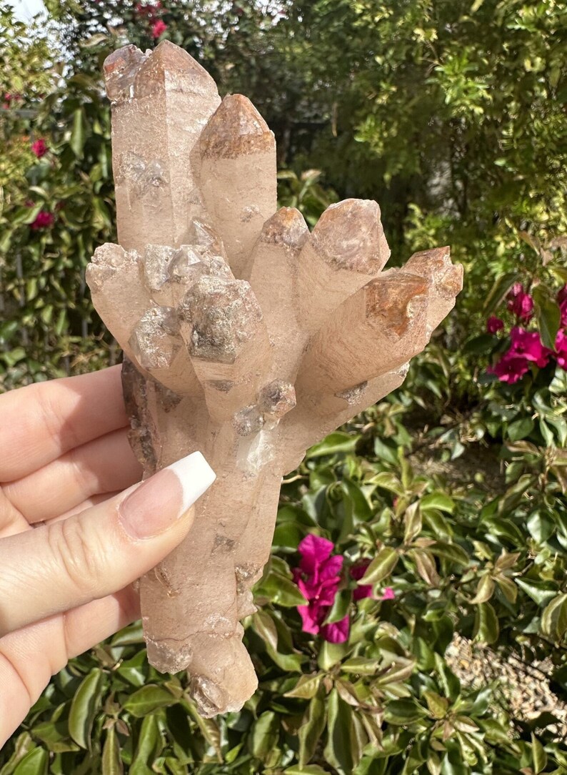 RARE Large Orange River Quartz With Orange and Brown Phantoms Statement ...