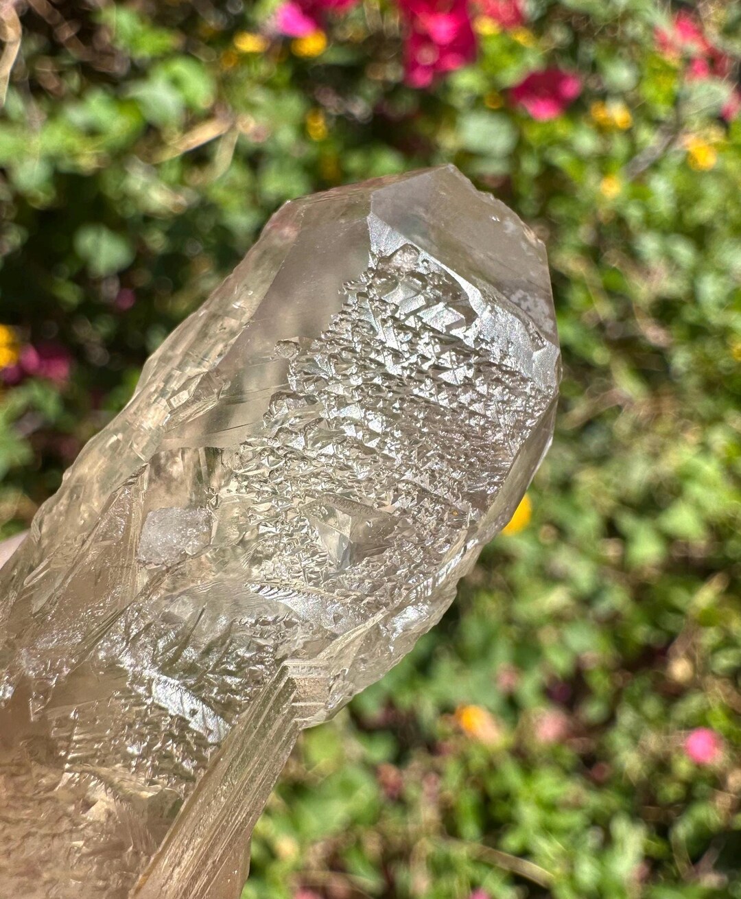 Rare Root Lemurian Quartz Barnacle Crystal With Glyphs - Minas Gerais ...