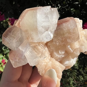 Rare Phantom Apophyllite With Stilbite Cluster: Chocolate, Red, and ...
