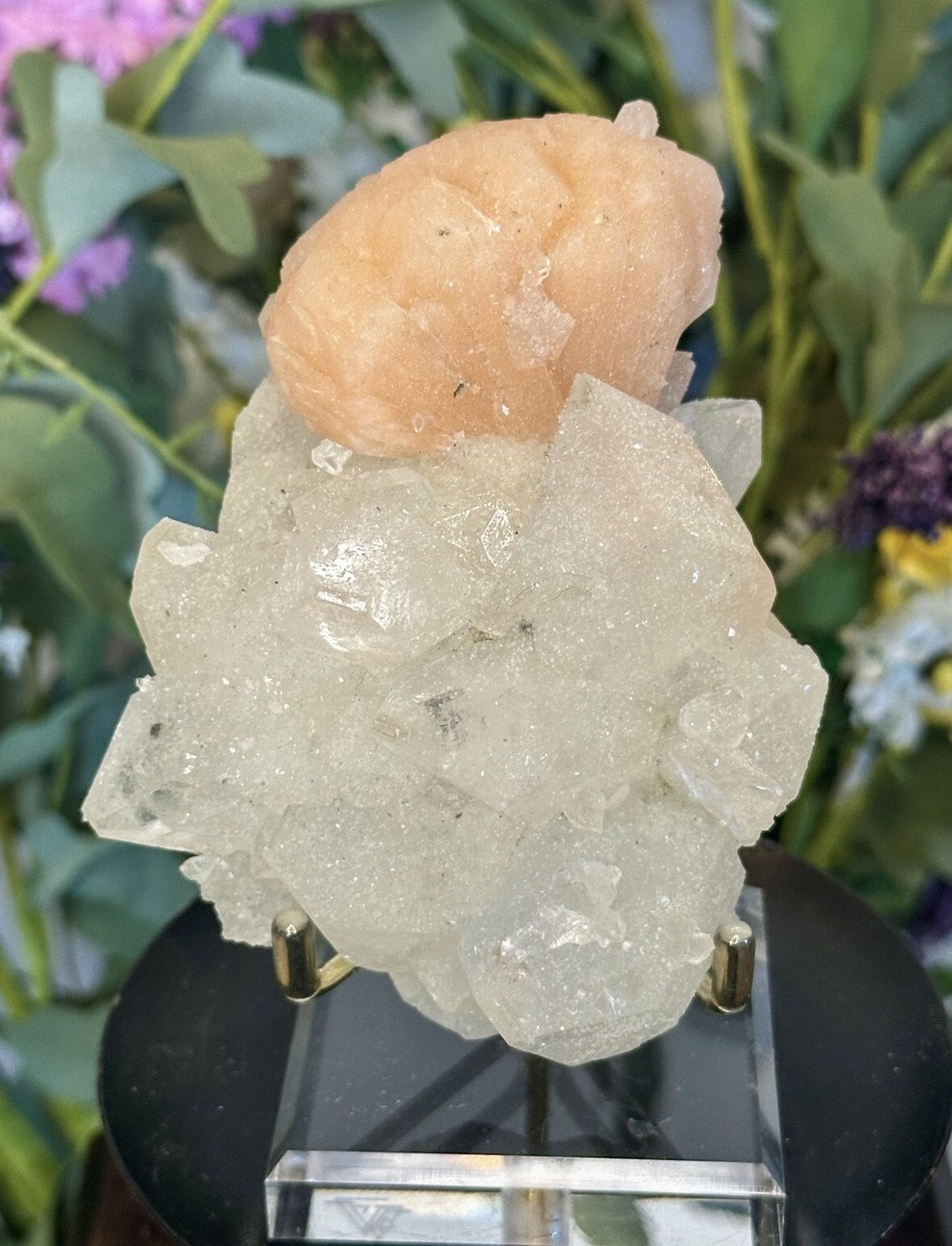 AAA Quality Diamond Apophyllite With Large Stilbite Floret and Sugar ...