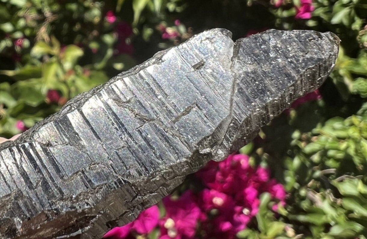 RARE Stunning Black Riebeckite Included Quartz From Pakistan, 33 Grams ...