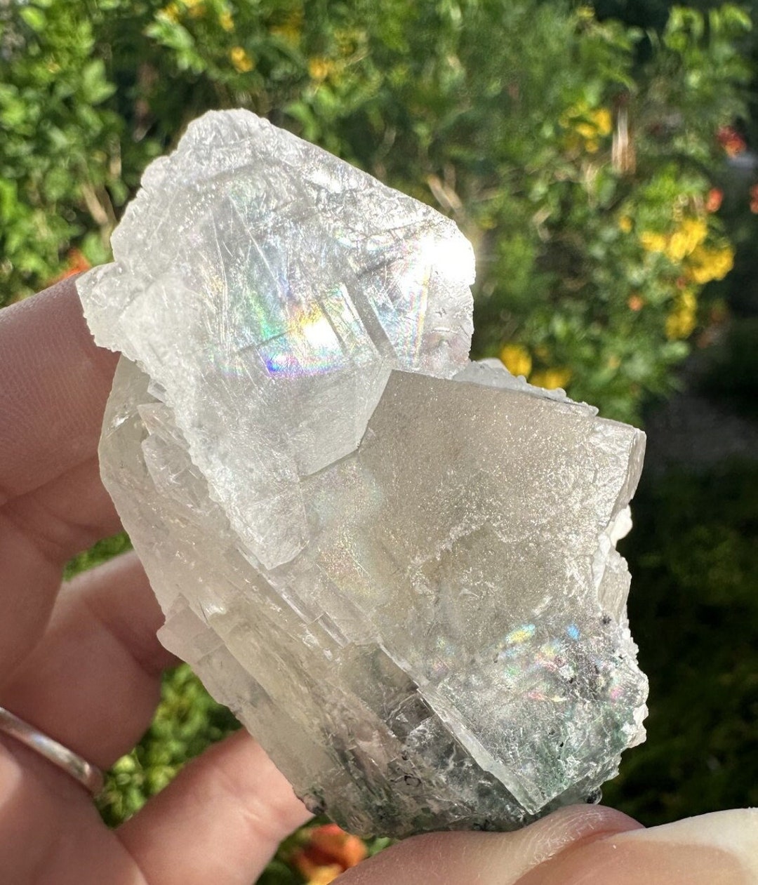 RARE AAA Quality Green Phantom Optical Calcite Cluster With Coral ...