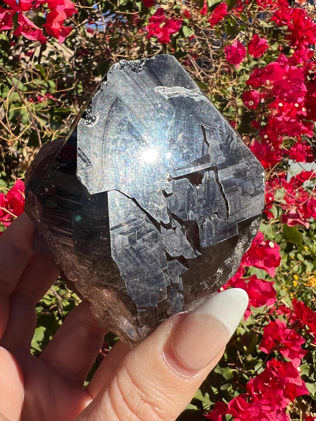 RARE Black Riebeckite Included Smoky Elestial Quartz Statement Specimen ...