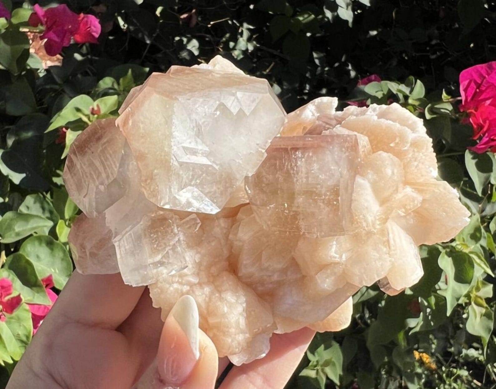 Rare Phantom Apophyllite With Stilbite Cluster: Chocolate, Red, and ...