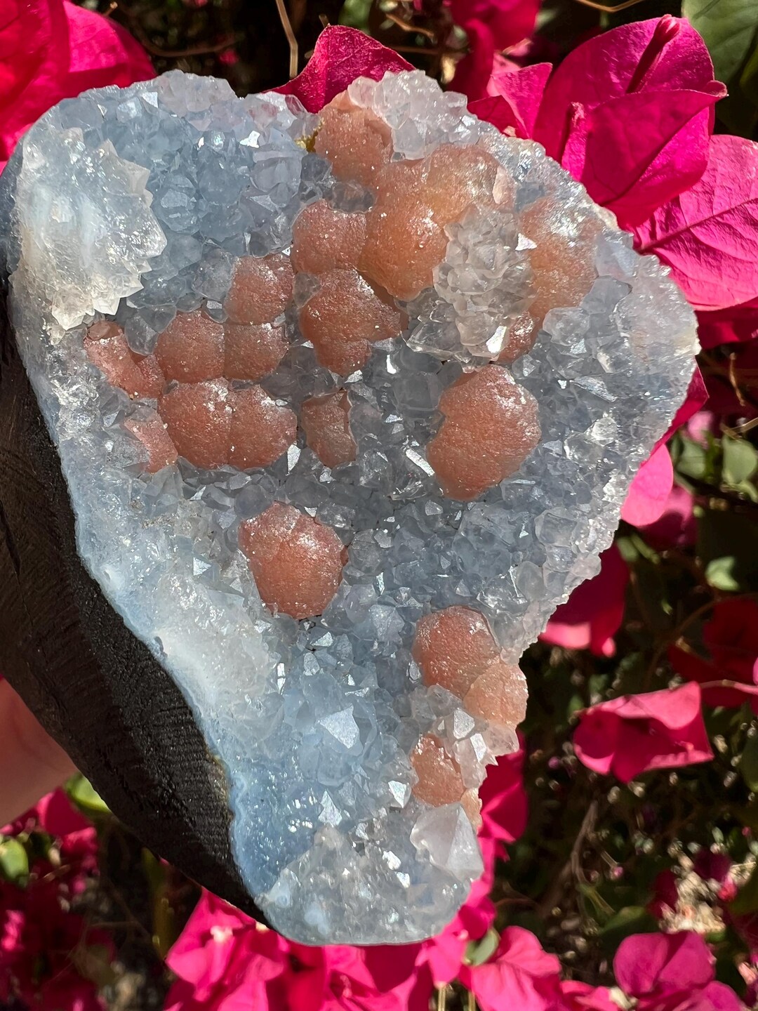 Stunning RARE High-quality Pink Botryoidal Fluorite on Blue Chalcedony ...