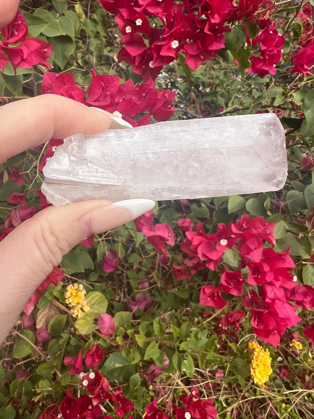 Gorgeous Large Pink Danburite Specimen From Mexico - Etsy