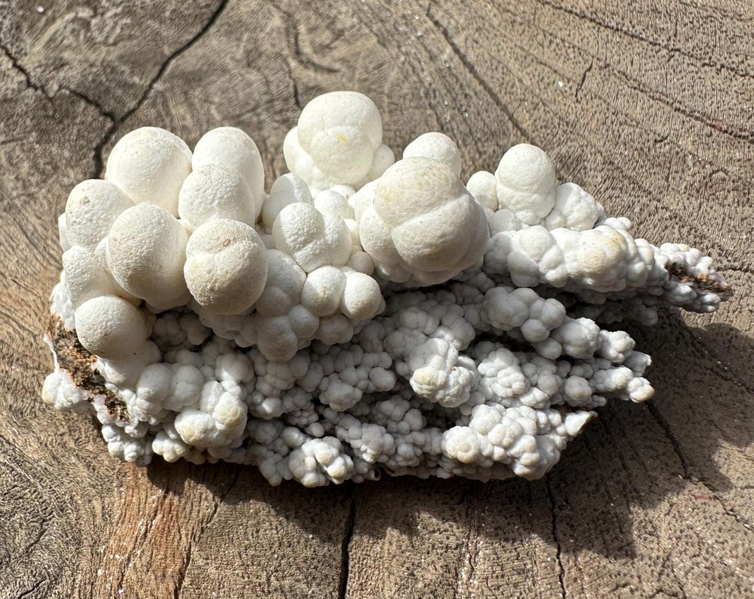 RARE White Botryoidal Hydrozincite Specimen - Etsy