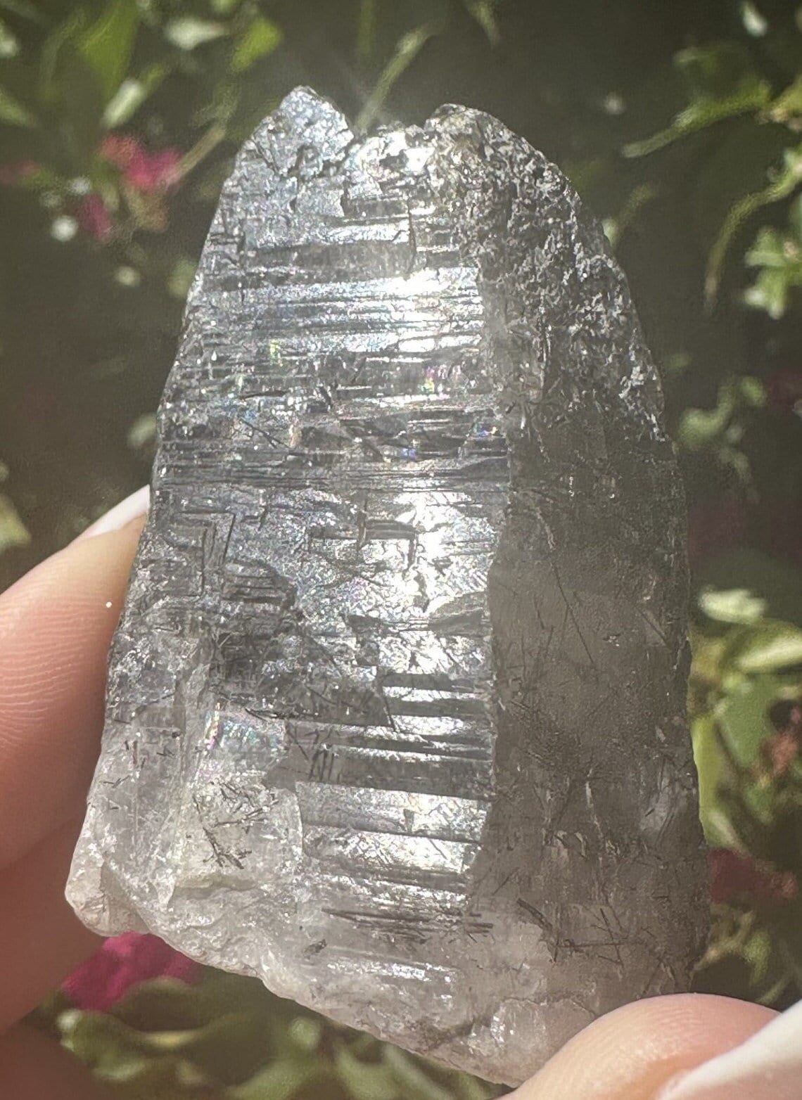 RARE Gorgeous Black Riebeckite Included Quartz Double Point With ...