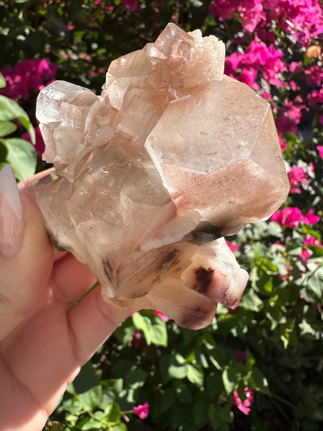 Stunning Top-quality Chocolate, Red, and Green Phantom Apophyllite With ...