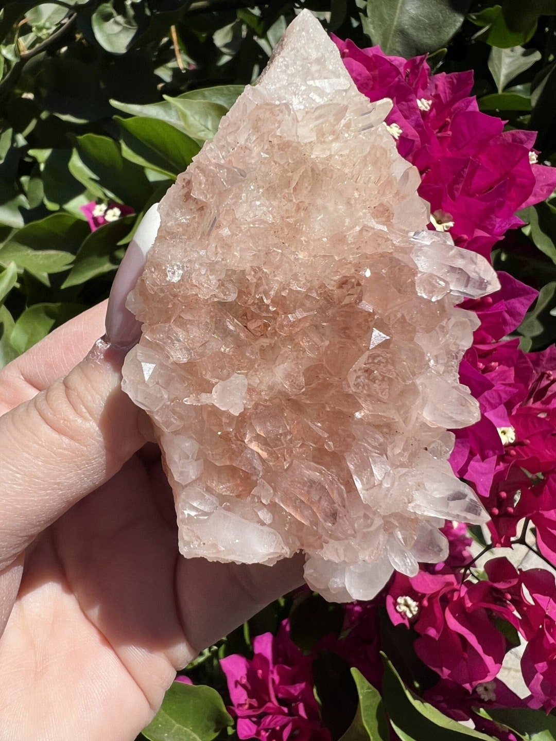 Pink Phantom Quartz Cluster: Himalayan Crystal Flower (3.4 X 1.9 Inches ...