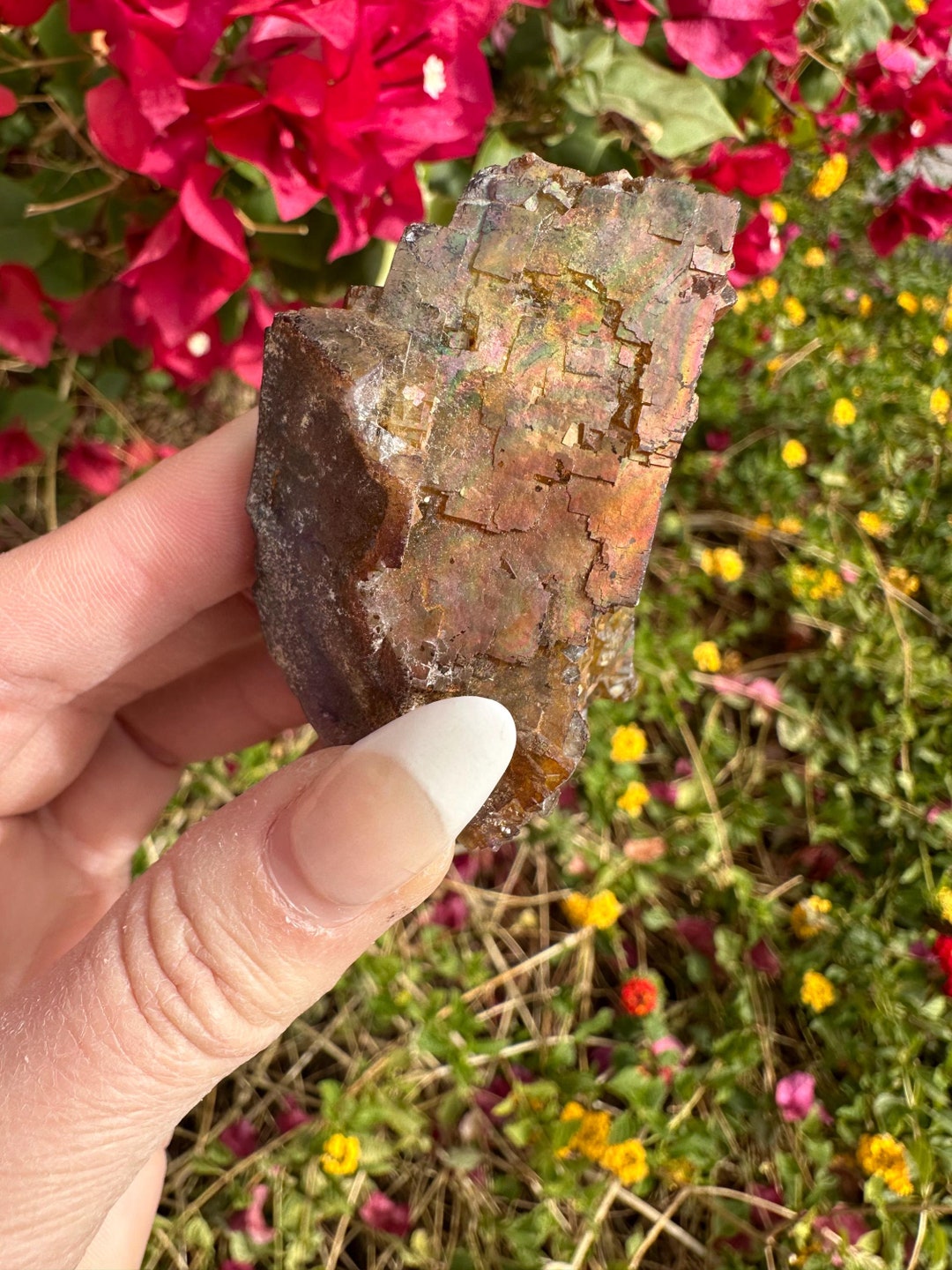 Rare Iridescent Fluorite Specimen: Natural Luster, Vibrant Colors - Etsy