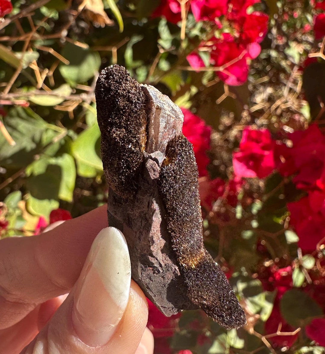 Goethite Specimen: Wild Blue Indian Mine, CO - Etsy