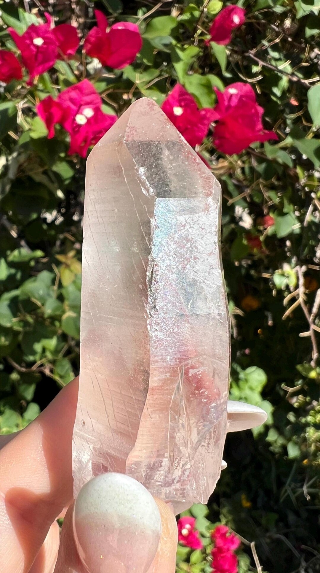 Pink Phantom Lemurian Channeling Quartz With Key and Record Keepers ...