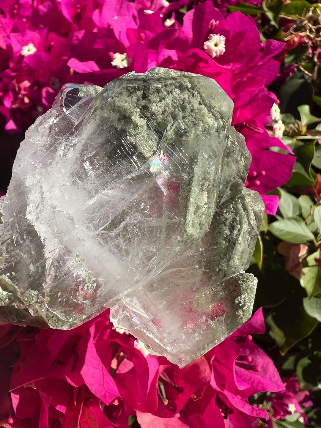 RARE Gem Quality Chlorite Included Faden Quartz Specimen With Rainbows ...