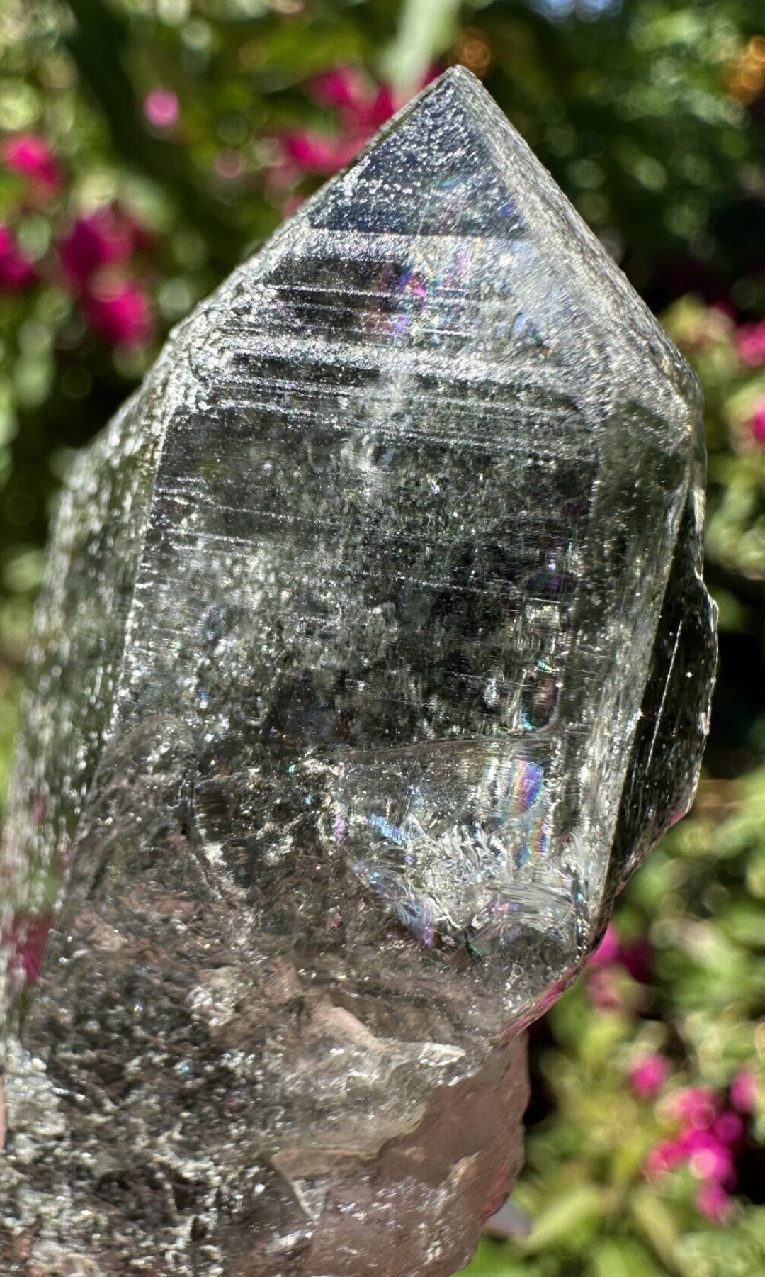 RARE, Gorgeous Green Tourmaline and Black Riebeckite in Quartz DT With ...