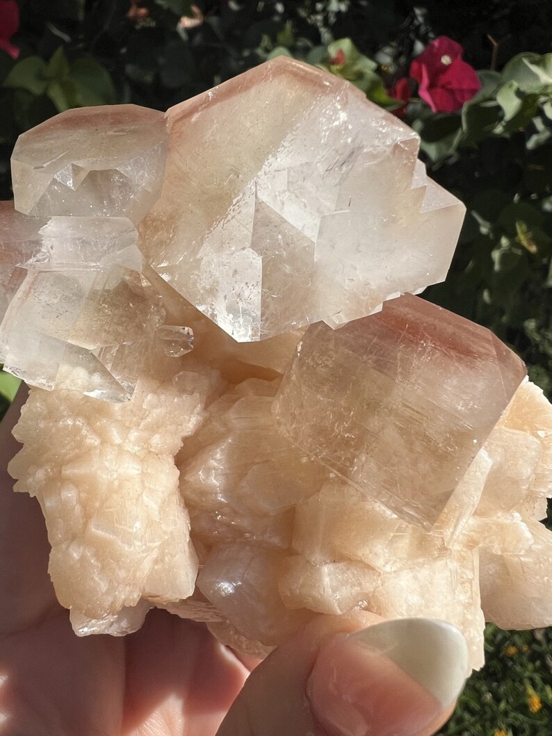 Rare Phantom Apophyllite With Stilbite Cluster: Chocolate, Red, and ...