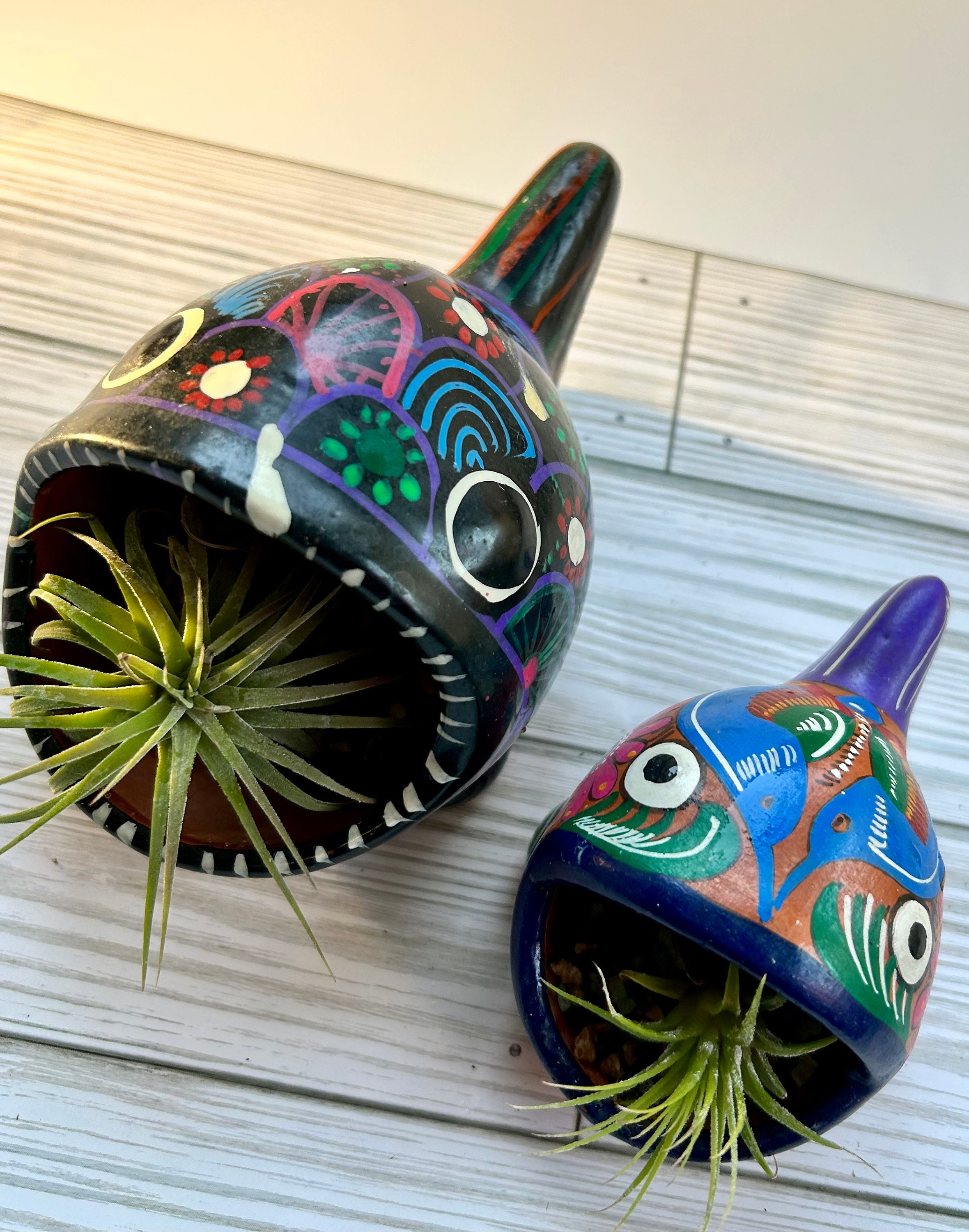 Terracotta Fish With Air Plants - Etsy