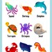 Colorful Illustrated Animals Kindergarten Printable Flashcards - Etsy