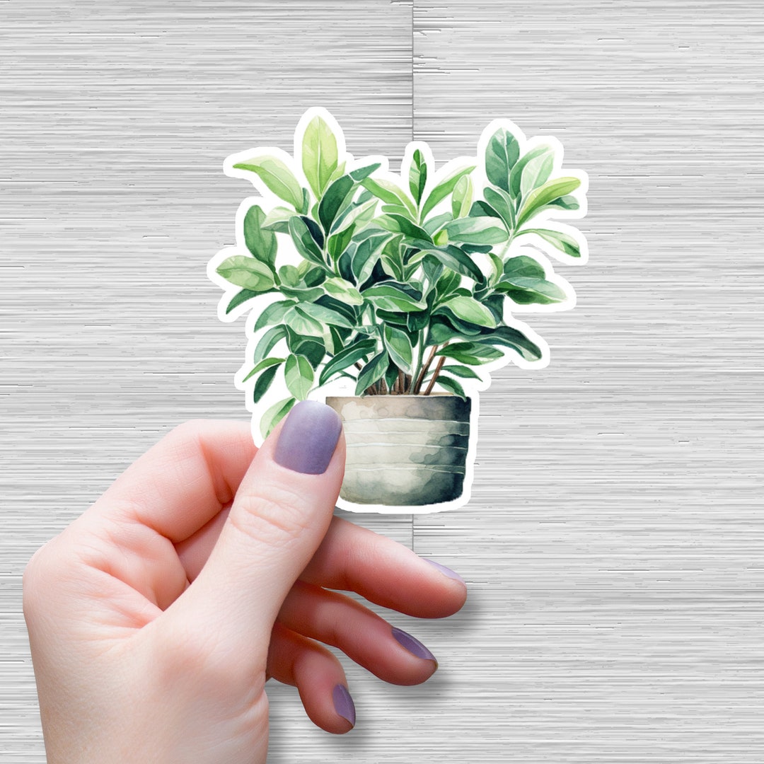Watercolor Potted Green Plant Sticker - Etsy