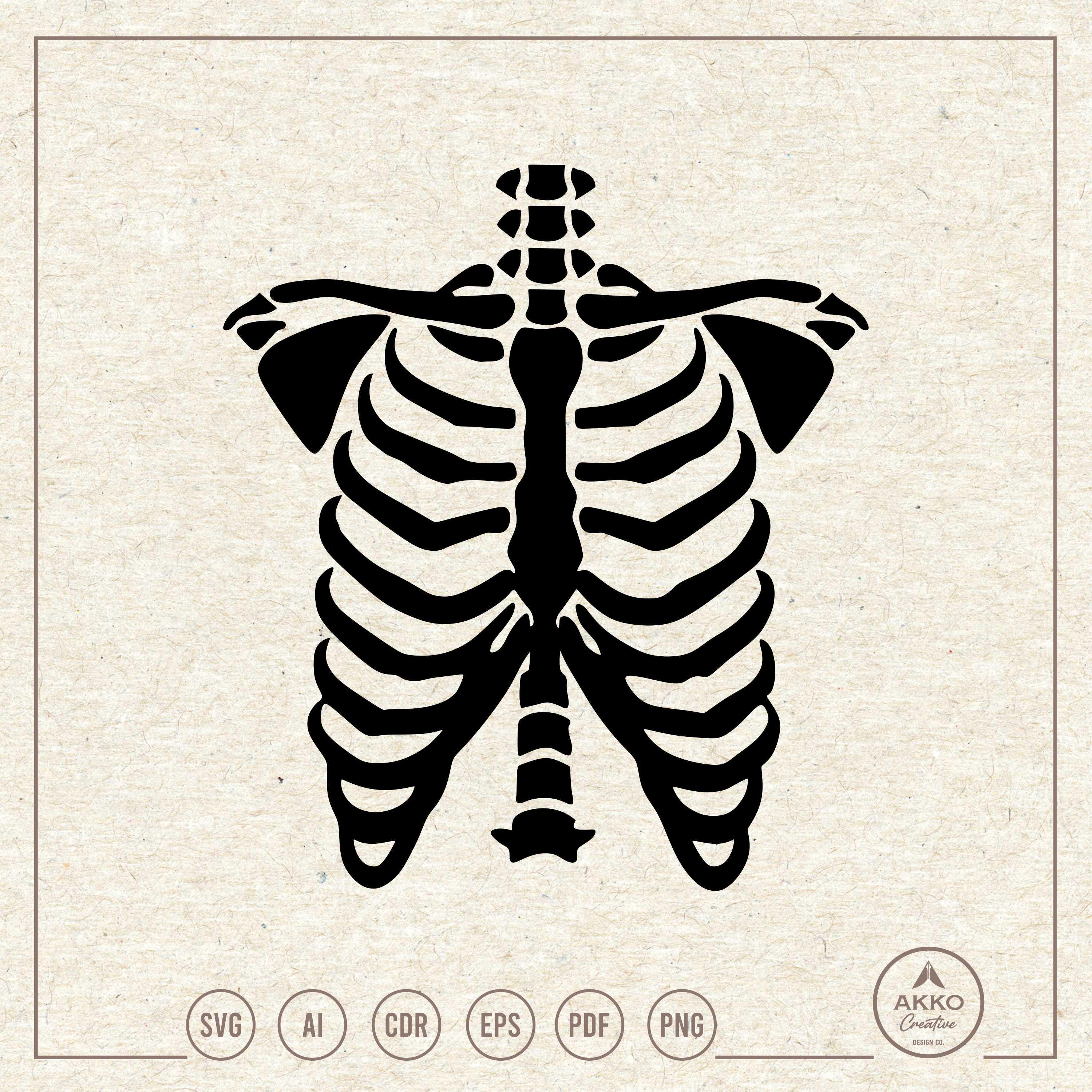 Skeleton Torso Svg Png, Halloween Clipart, Cricut Silhouette Plotter ...