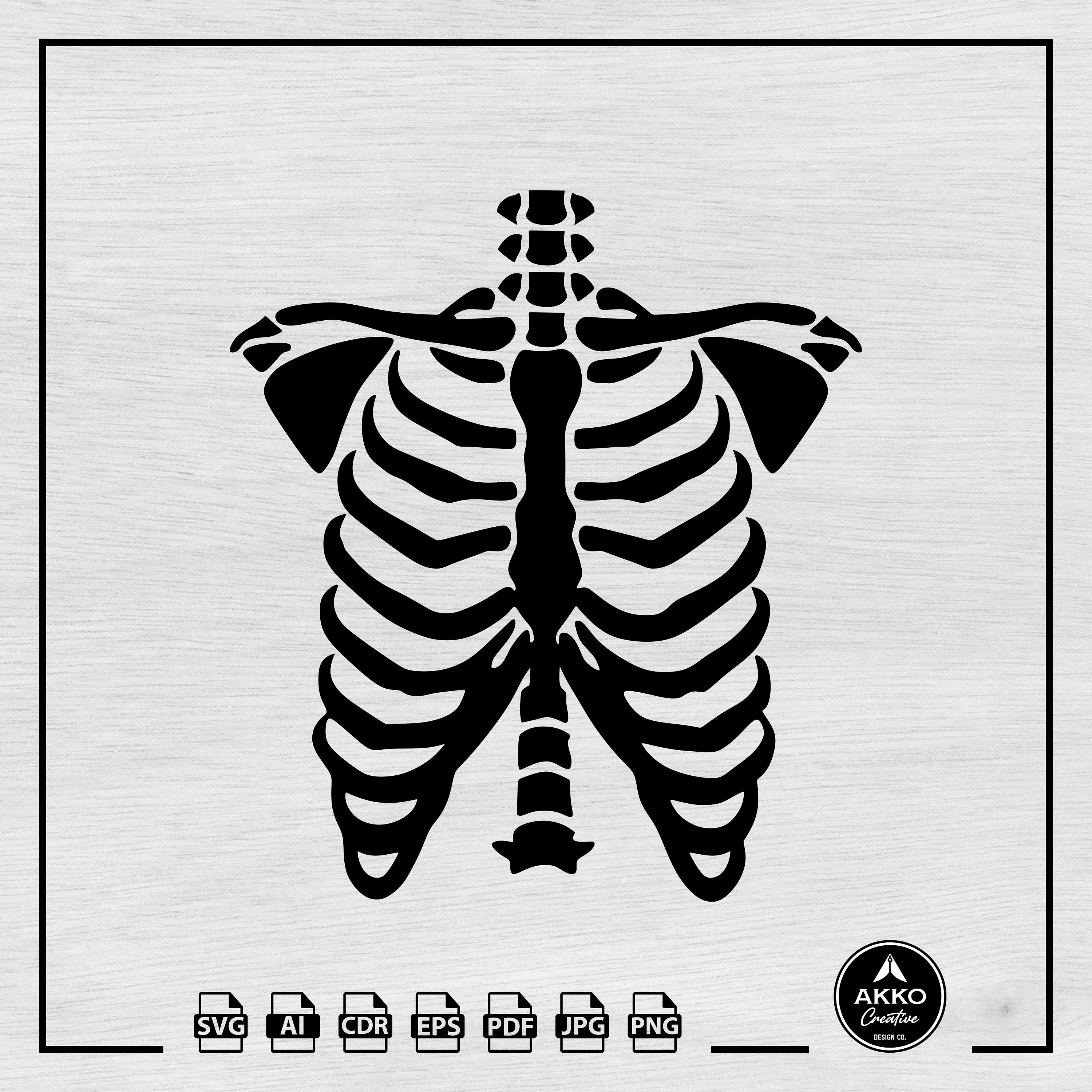 Skeleton Body Svg Png, Skeleton Body Wear Svg Png, Skeleton Torso Svg ...