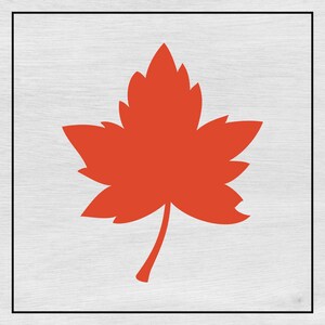 Maple Leaf Svg Png, Autumn Leaves Svg, Fall Leaves Svg, Sycamore Leaf ...