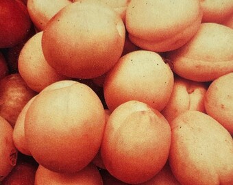 Rubrum Plum Tree Live 4-6 Foot Tall Fruit Trees Plant Healthy Plants ...