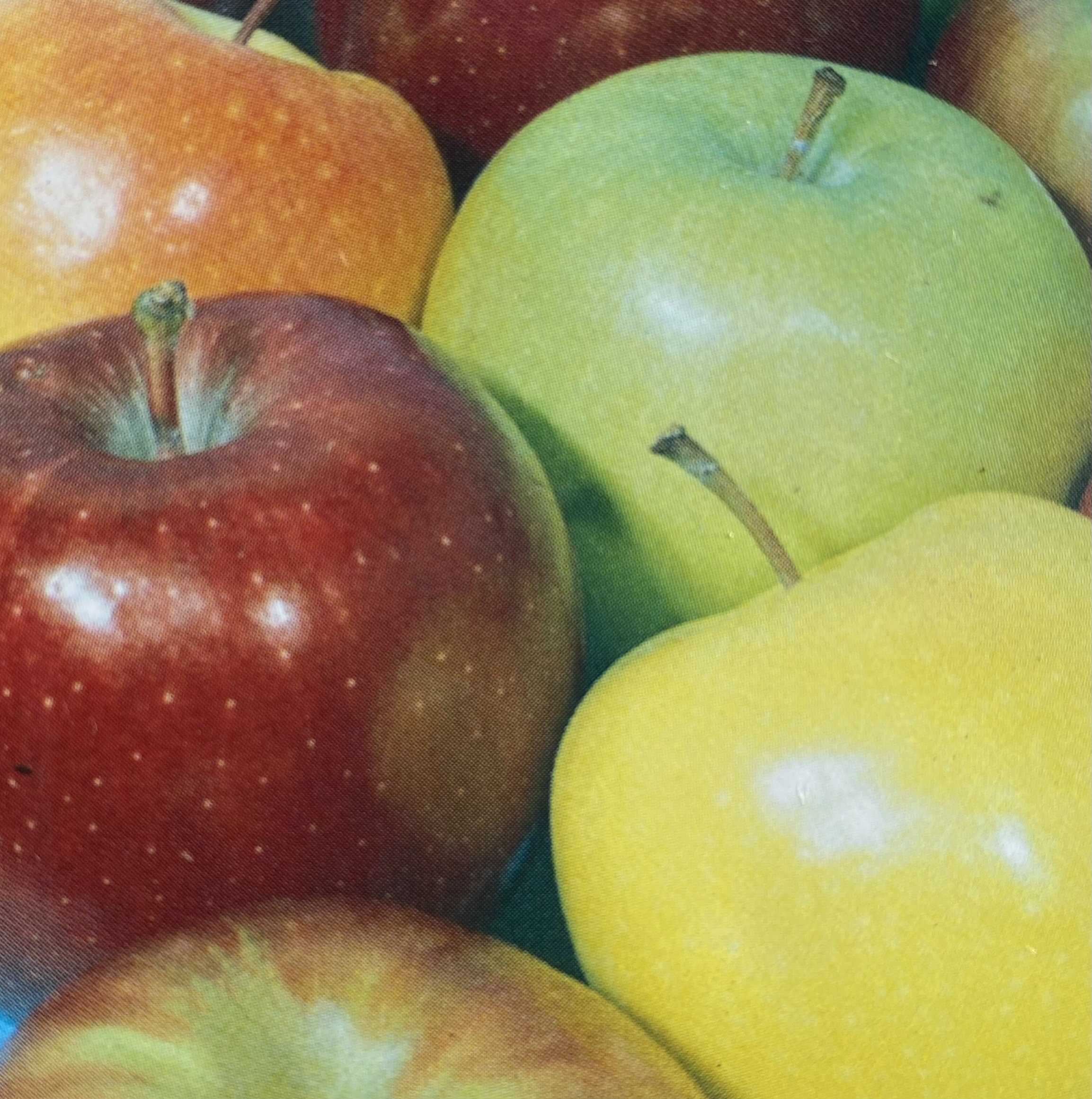 5-N-1 Apple Tree Live 4-6 Foot Tall Fruit Trees Healthy Plants Orchard ...