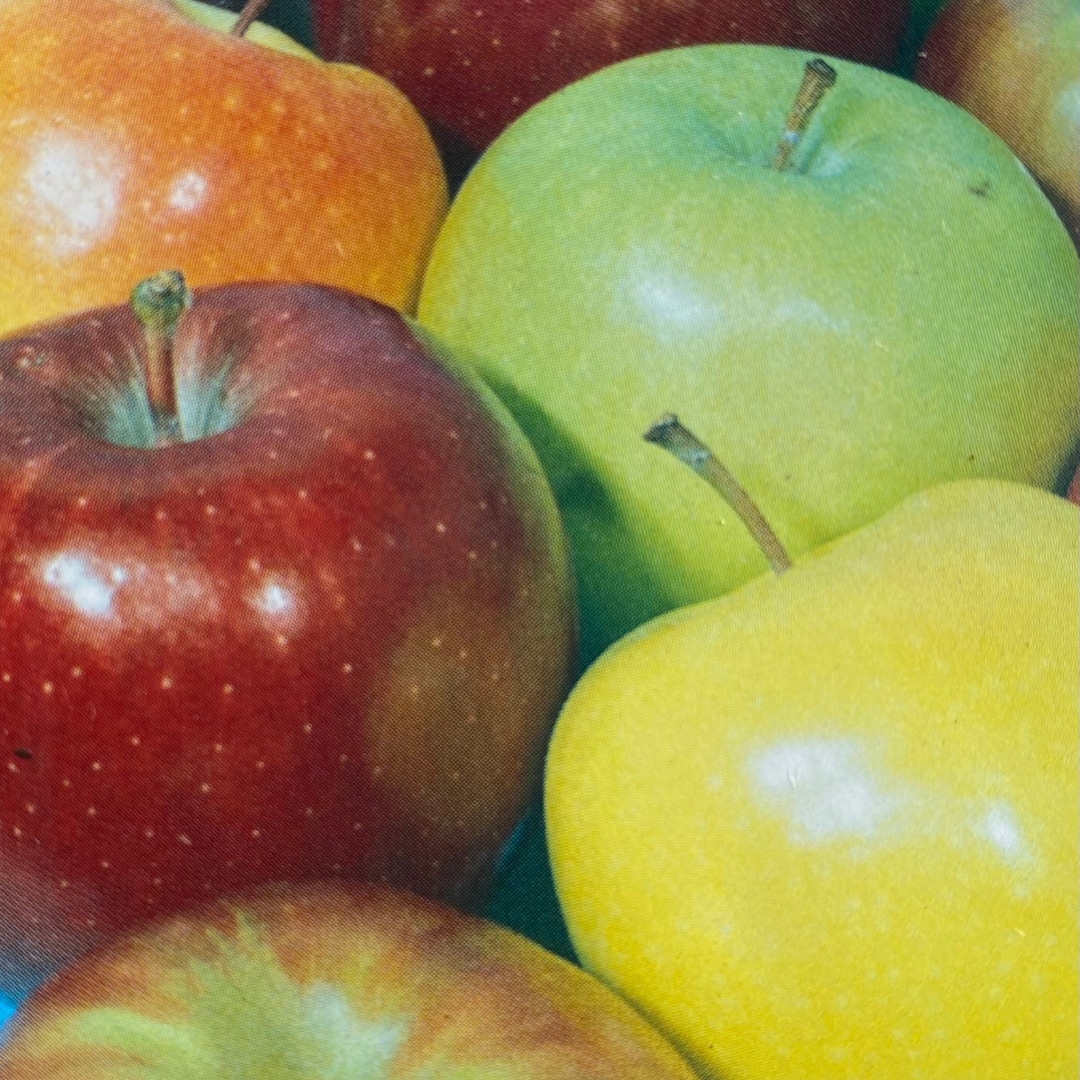 5-N-1 Apple Tree Live 4-6 Foot Tall Fruit Trees Healthy Plants Orchard ...