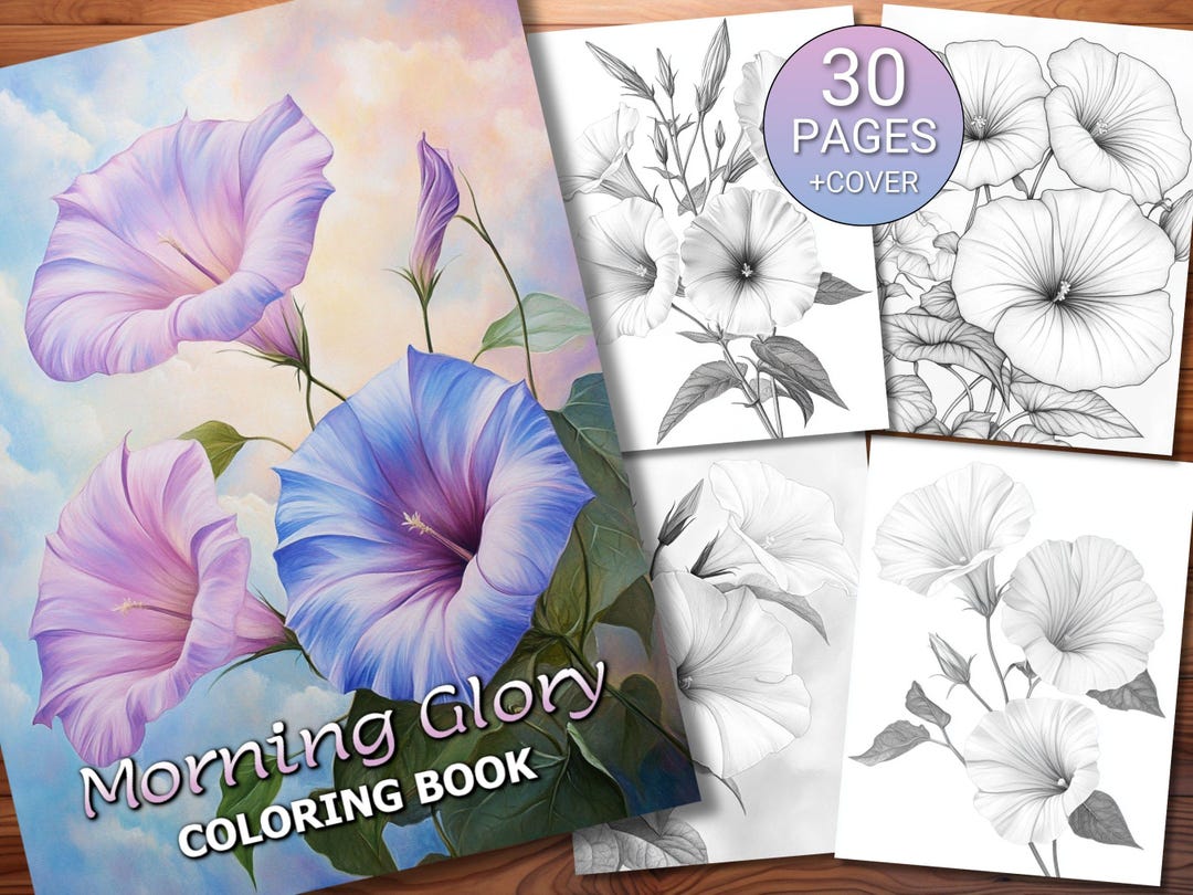 30 Morning Glory Coloring Page Book - Adults + Kids - Instant Download ...