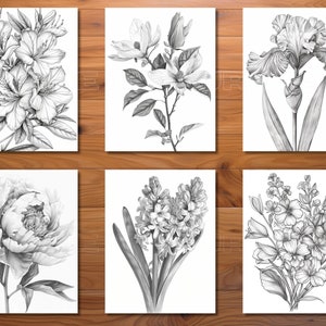 30 Spring Flowers Coloring Page Book - Adults + Kids - Instant Download ...