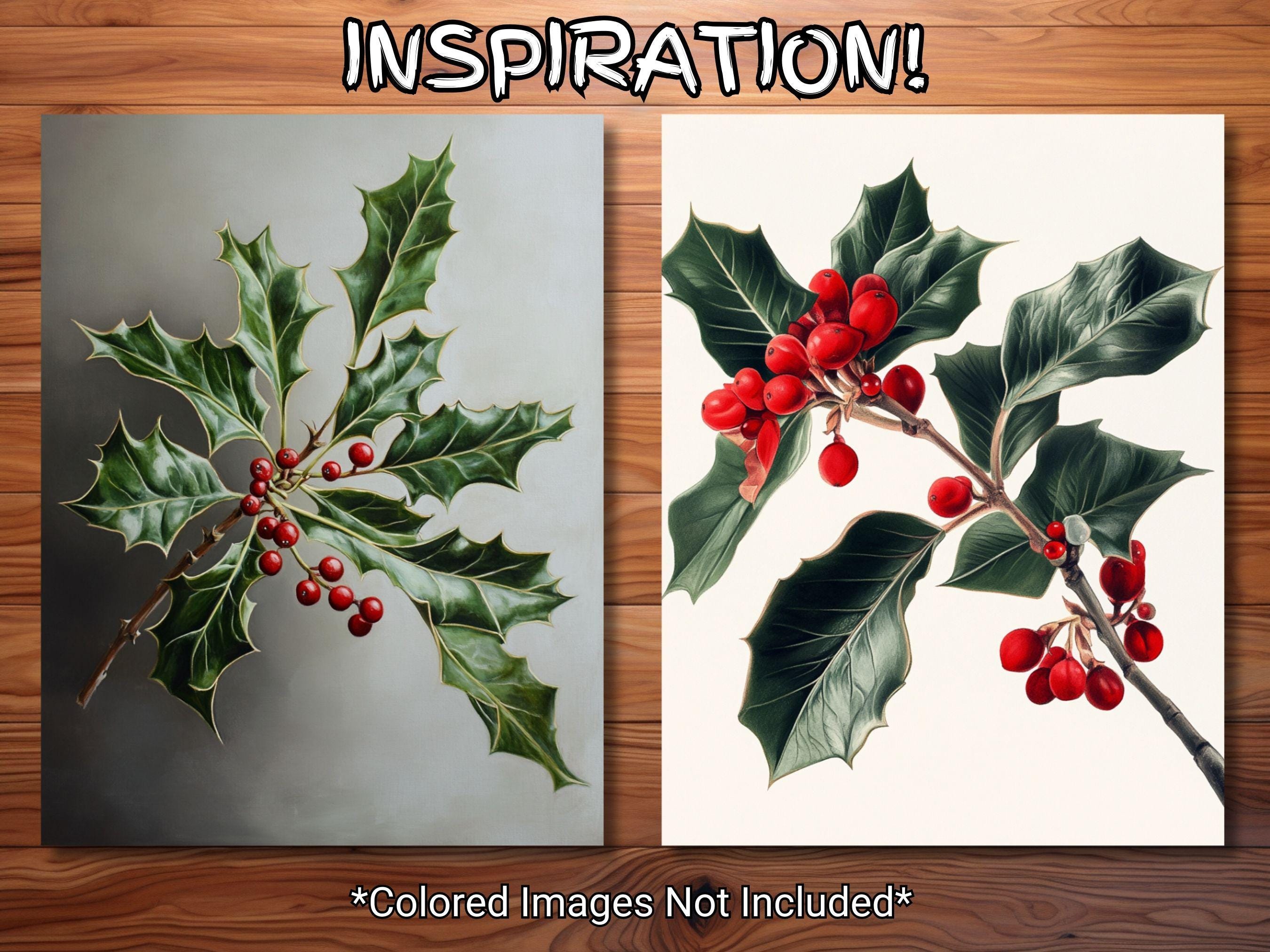 30 Holly Coloring Page Book - Adults + Kids - Instant Download ...