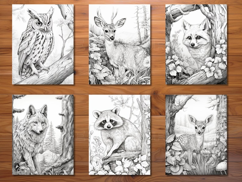 30 Forest Wildlife Coloring Page Book - Adults + Kids - Instant ...
