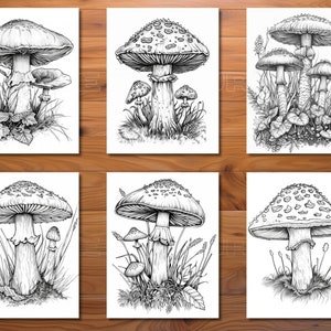 30 Toadstools Coloring Page Book - Adults + Kids - Instant Download ...