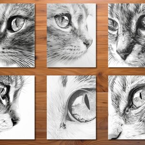 30 Cat Eyes Coloring Page Book - Adults + Kids - Instant Download ...