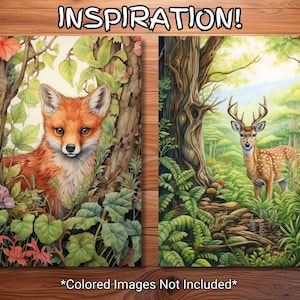 30 Forest Wildlife Coloring Page Book - Adults + Kids - Instant ...
