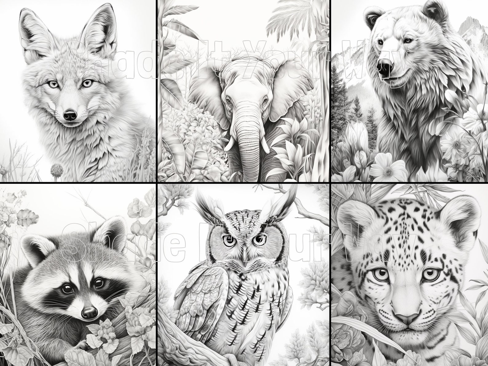 30 Wildlife Adventures Coloring Page Book Adults Kids - Etsy Canada