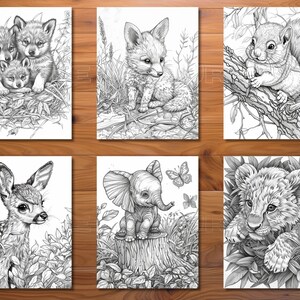 30 Cute Baby Wildlife Coloring Page Book Adults Kids Instant Download ...