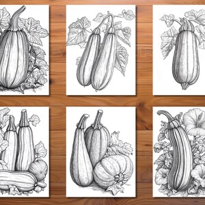 30 Summer Squash Coloring Page Book - Adults + Kids - Instant Download ...