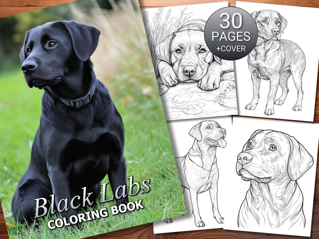 30 Black Labs Coloring Page Book - Adults + Kids - Instant Download ...