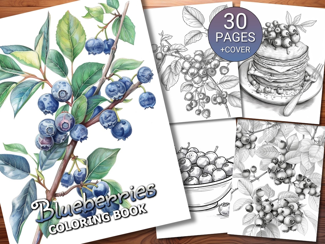30 Blueberries Coloring Page Book - Adults + Kids - Instant Download ...