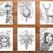 30 Merry Christmas Coloring Page Book - Adults + Kids - Instant ...