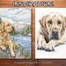 30 Labradors Coloring Page Book - Adults + Kids - Instant Download ...