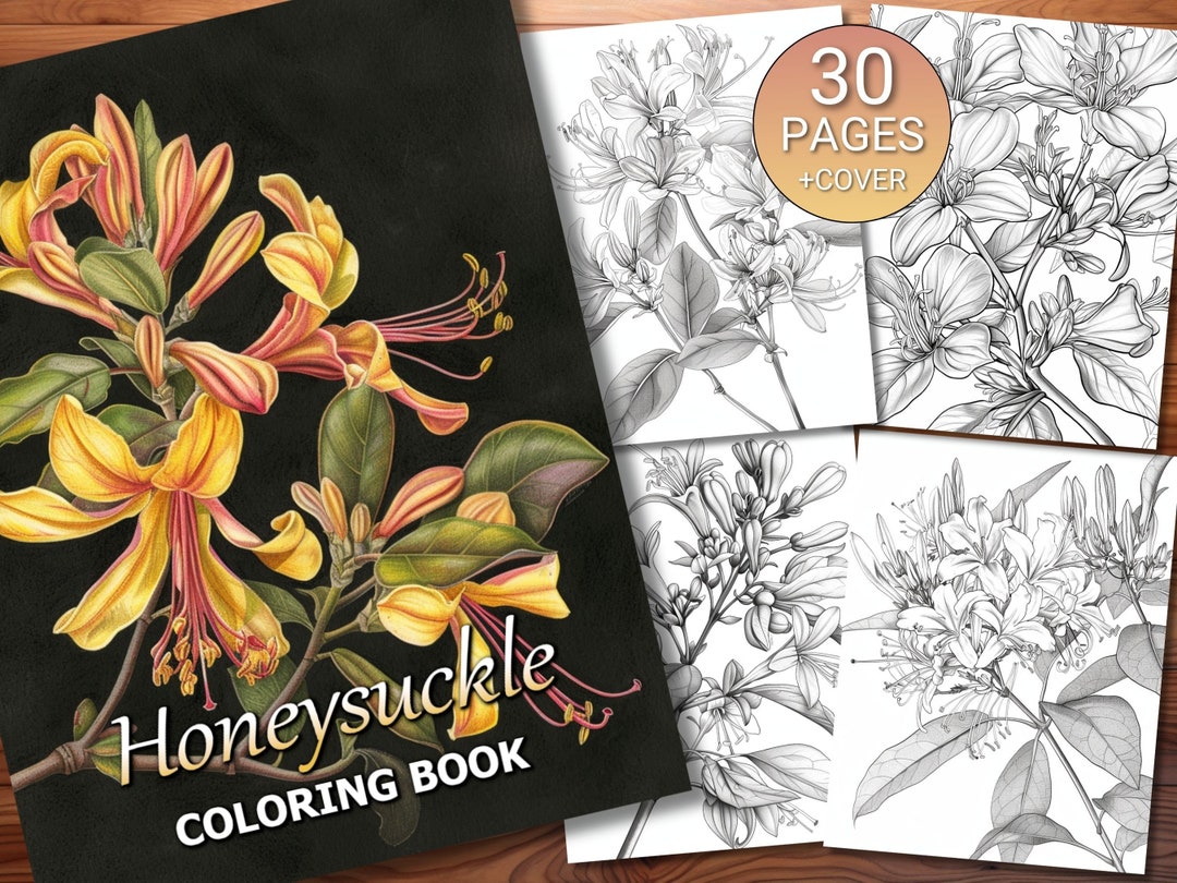 30 Honeysuckle Coloring Page Book - Adults + Kids - Instant Download ...