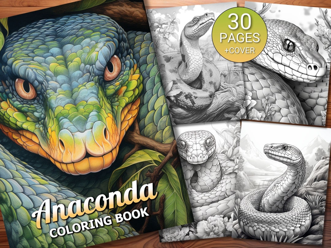 30 Anaconda Coloring Page Book - Adults + Kids - Instant Download ...