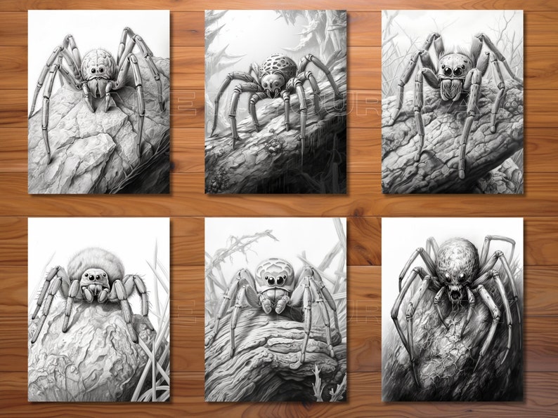 30 Spiders Coloring Page Book Adults Kids Instant Download Grayscale ...